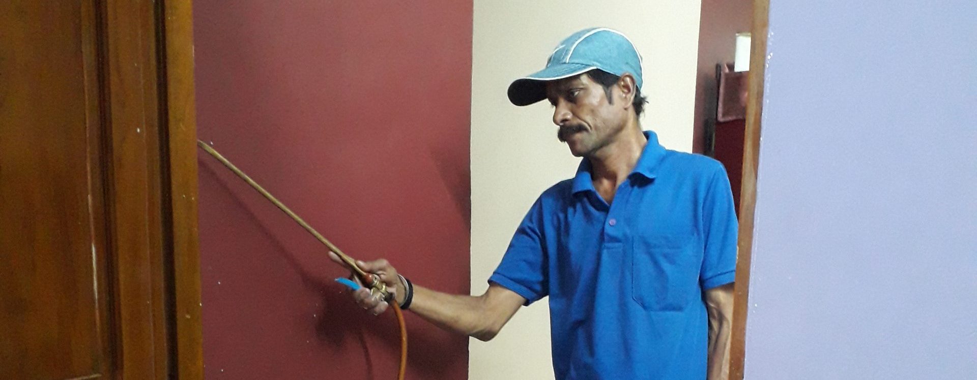Hindustan Pest Control - Effective Pest Solutions for Your Home and ...